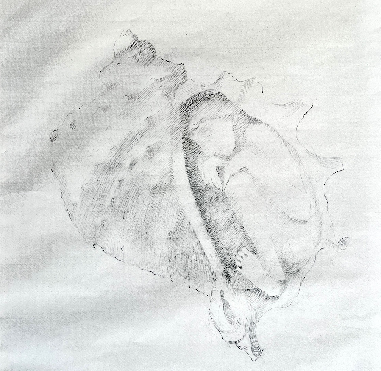 Melocco, Miklós - Birth of Venus - Koller Gallery